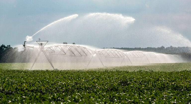 La agricultura de regadío en España | La Cultura del Agua